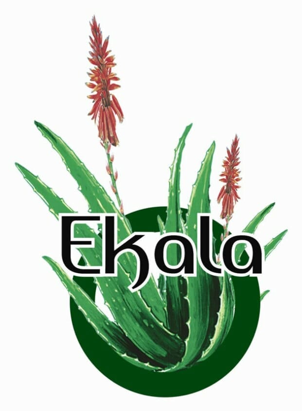 Alexandra Township tour – Non-invasive township tours